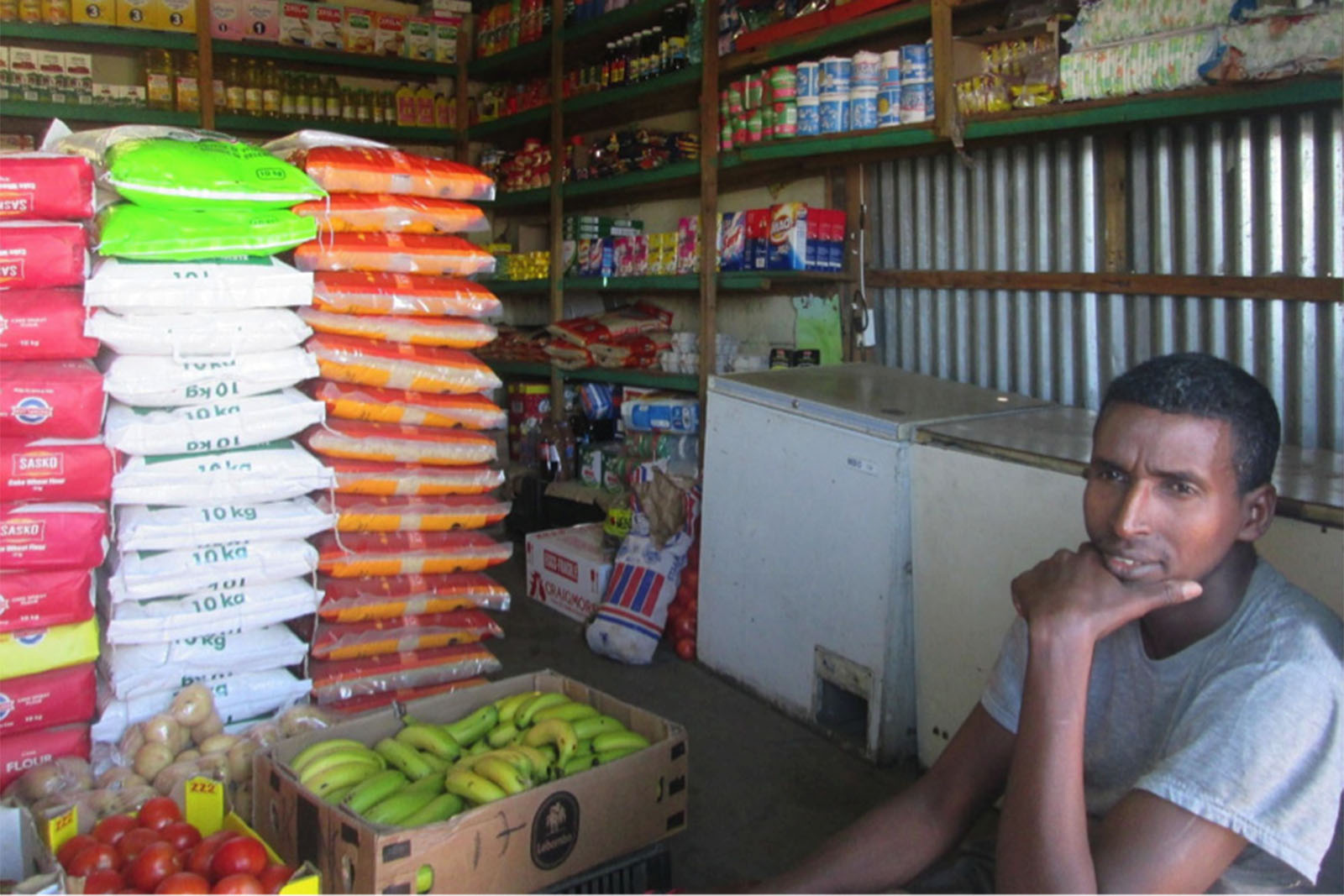 International Migrant Food Vendors and Urban Food Governance in Cape ...