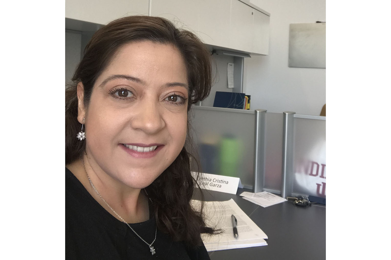 PhD Dissertation Defence: "Was Bretton Woods Working for the Common ...